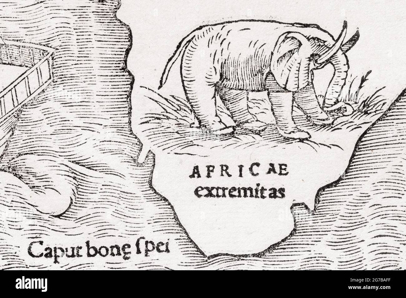 Elephant, detail, earliest printed map of the entire African continent ...