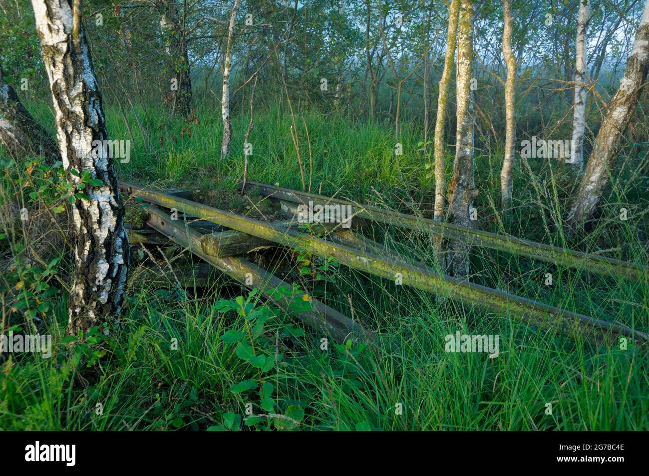 Old tracks of the moor railway, railway for peat cutting, August, NSG ...