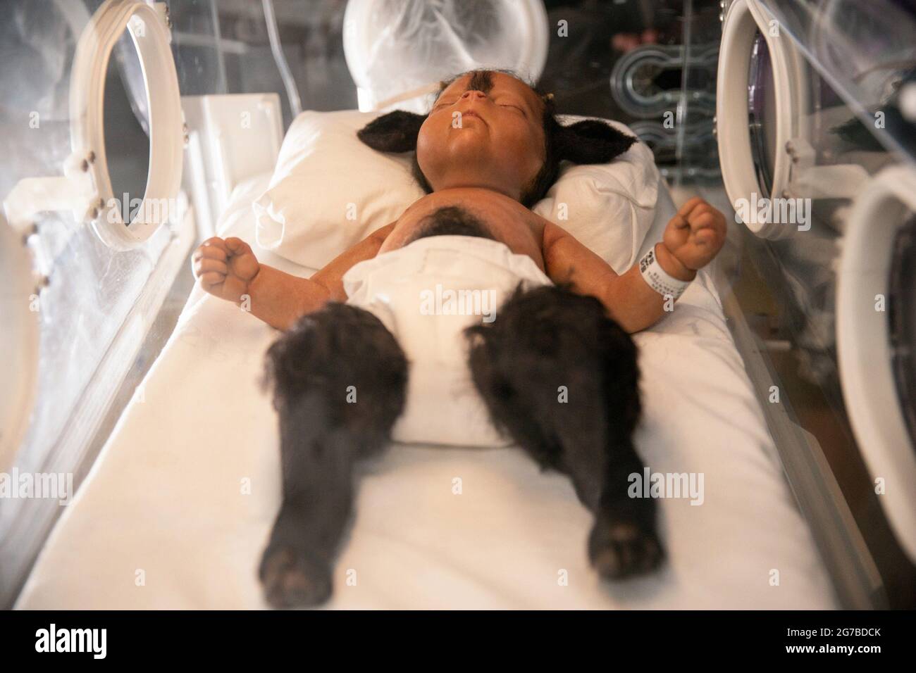 SWEET TOOTH, 'Big Man', (Season 1, ep. 108, aired June 4, 2021). photo ...