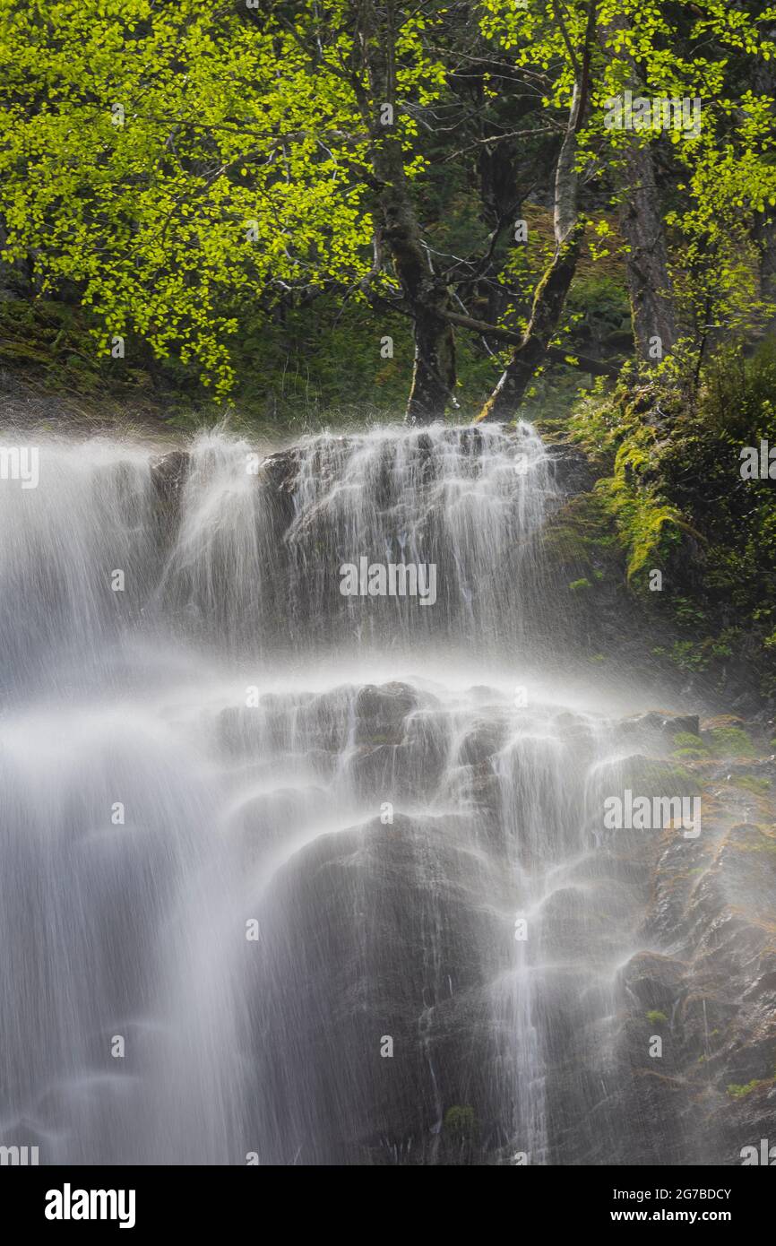 Skookum falls hi-res stock photography and images - Alamy