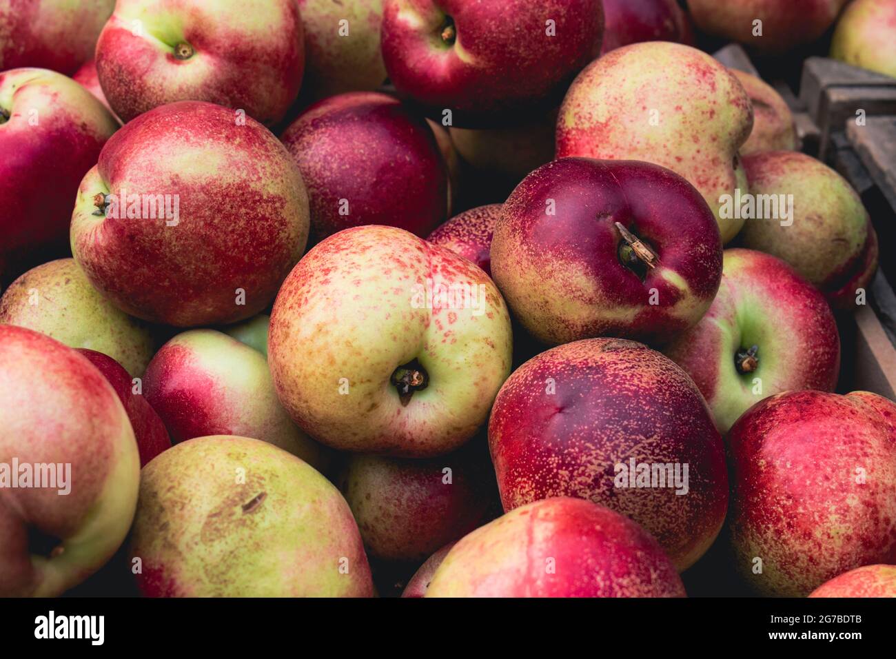Organic white peaches hi-res stock photography and images - Alamy
