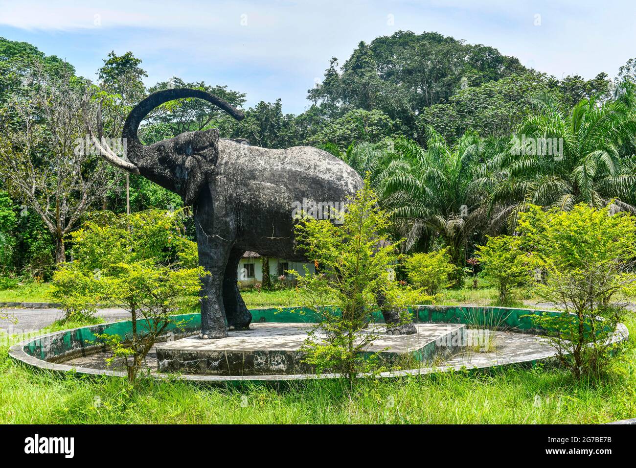 Cross river national Park, Calabar, Nigeria Stock Photo - Alamy