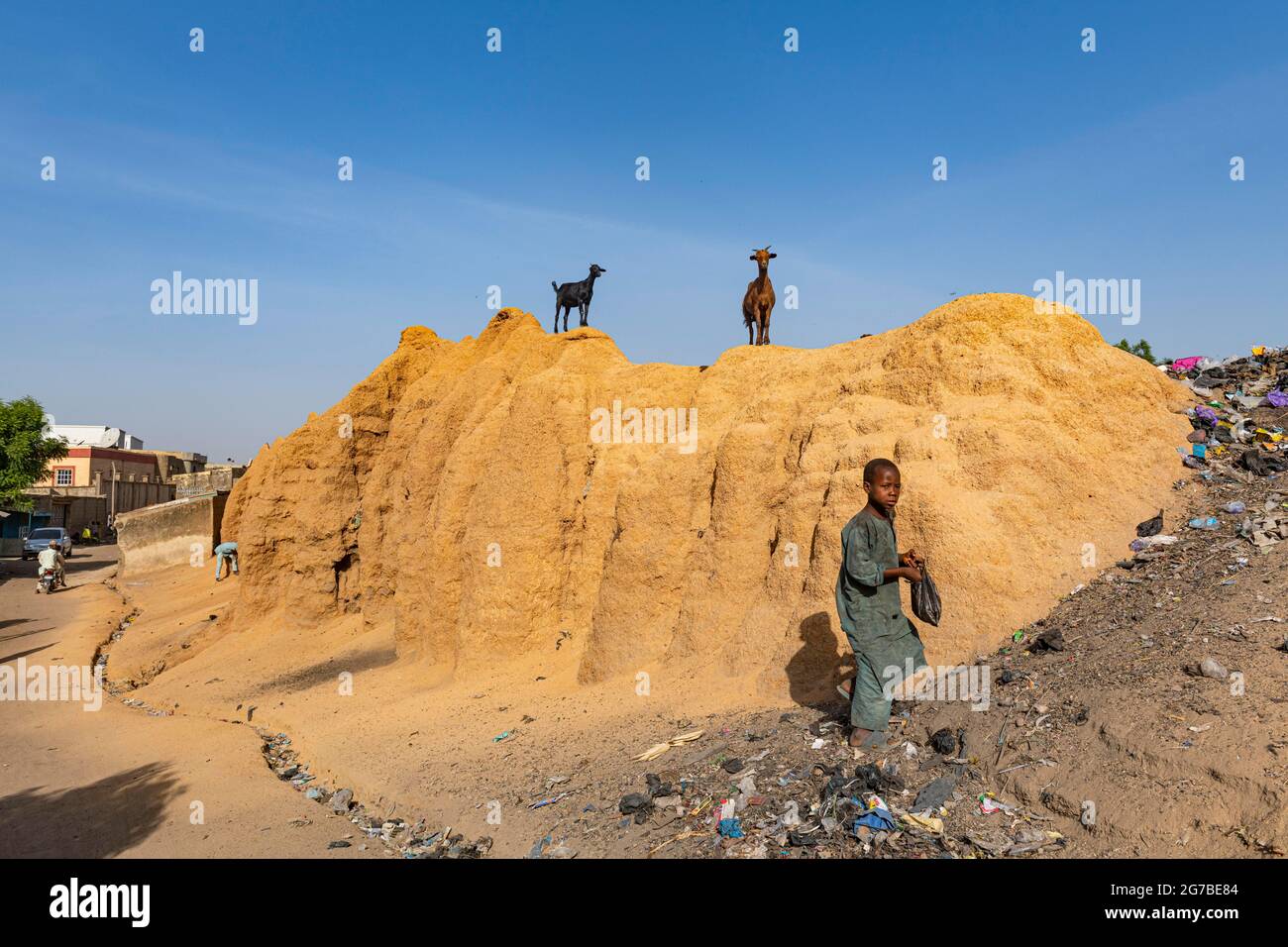 Goats on the old sandstone wall, Kano, Kano state, Nigeria Stock Photo ...