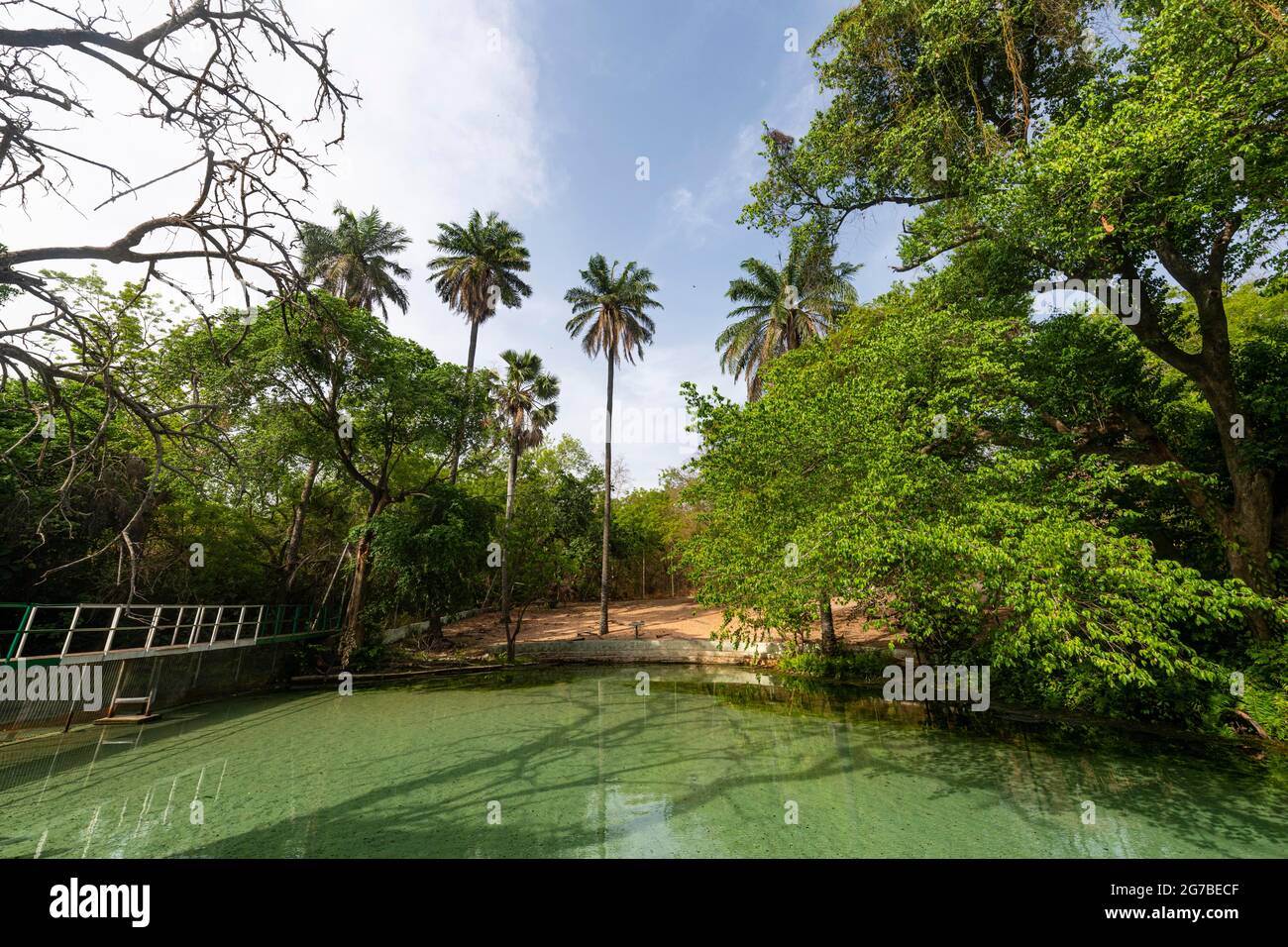 Turquoise Wikki warm springs, Yankari National Park, eastern Nigeria ...