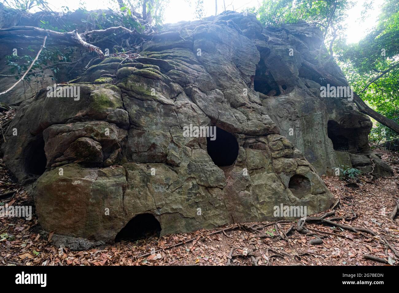 Yankari national park hi-res stock photography and images - Alamy
