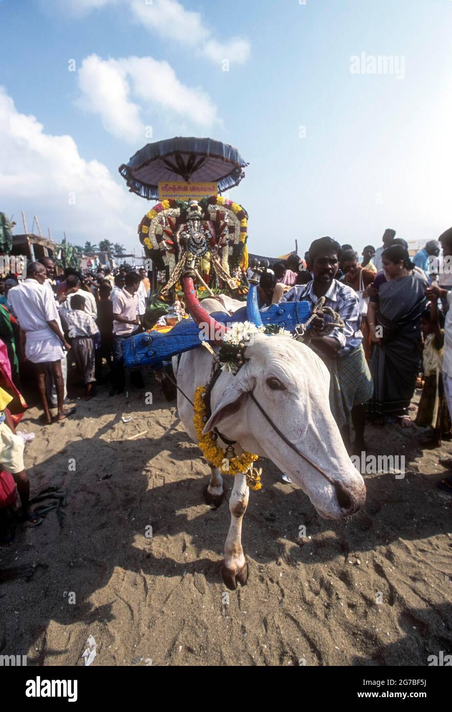 Masi Magam festival at Puducherry; Pondicherry, Union territory of ...