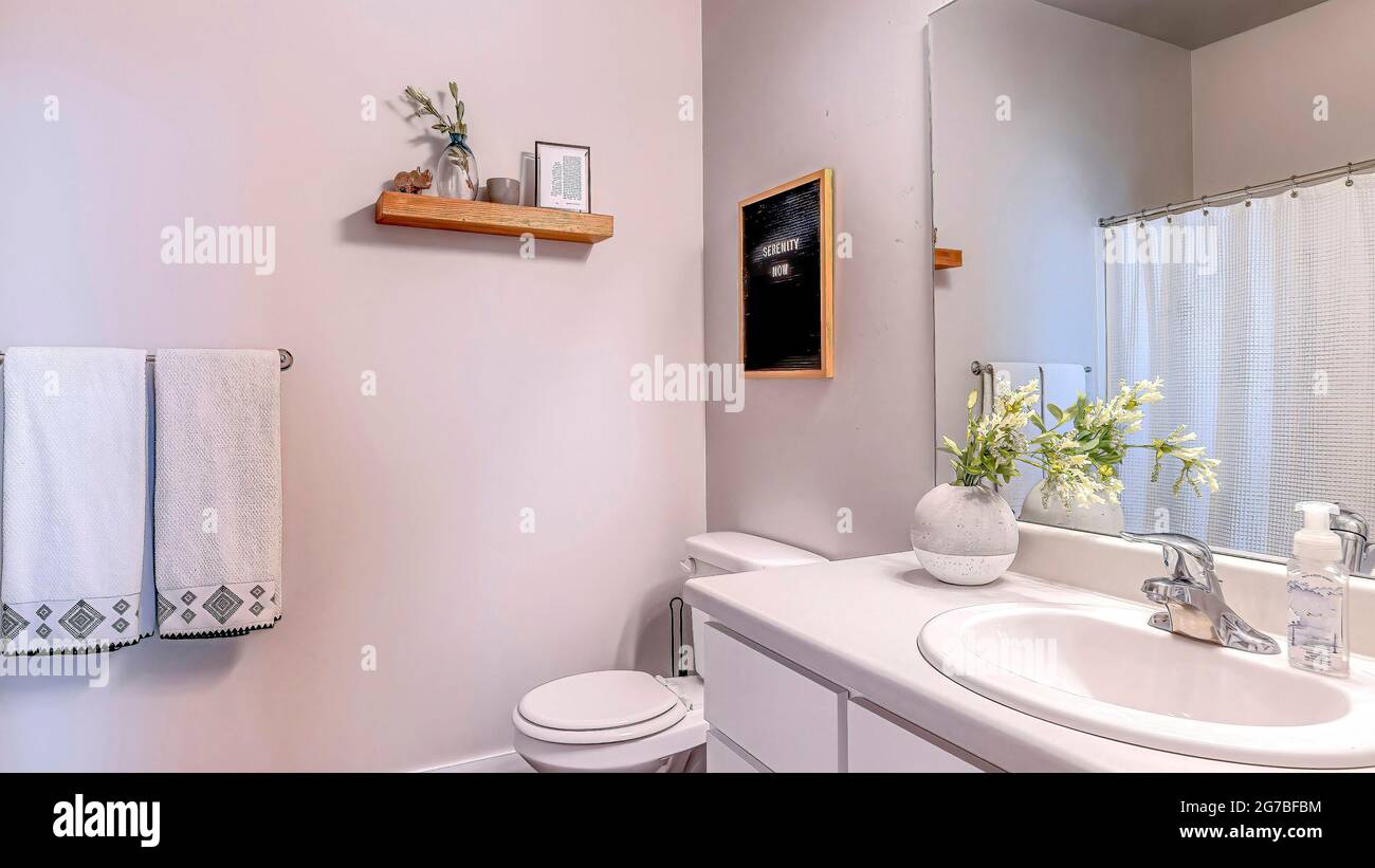 Pano Toilet beside vanity unit with sink mirror and white cabinets ...