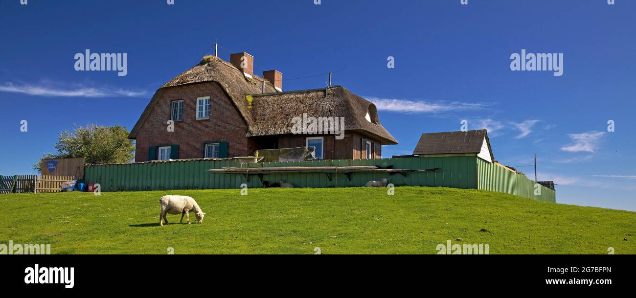North frisian national park hi-res stock photography and images - Alamy