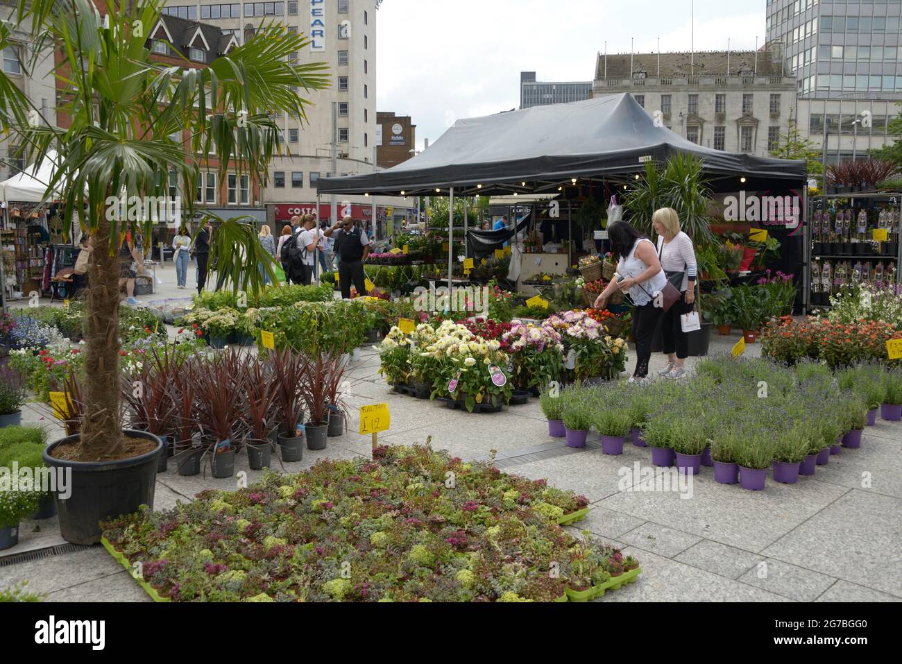 Plants on sale at Summer market in Nottingham City centre Stock Photo ...