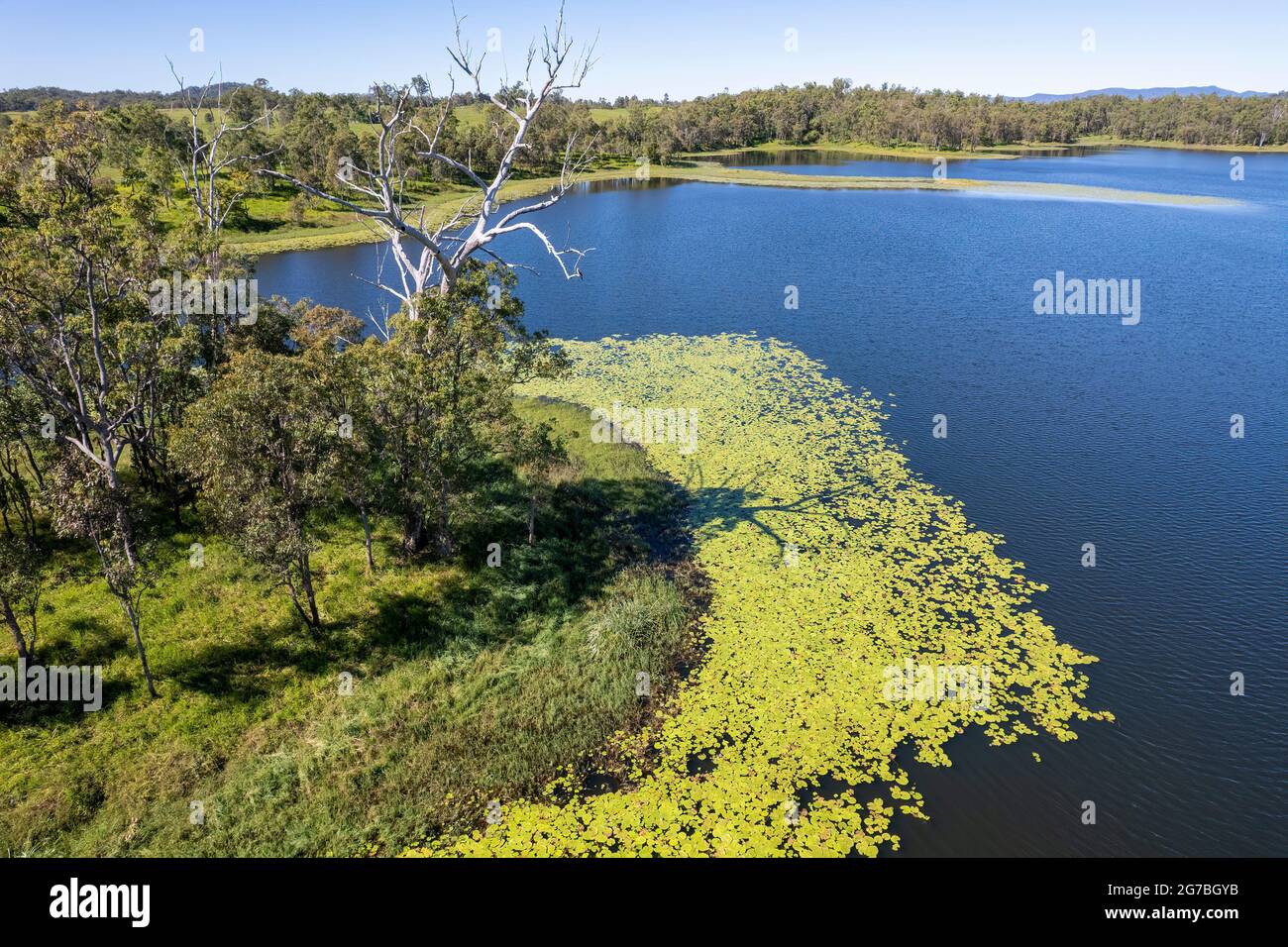 Aerial over yellow green algae and shoreline of catchment area ...