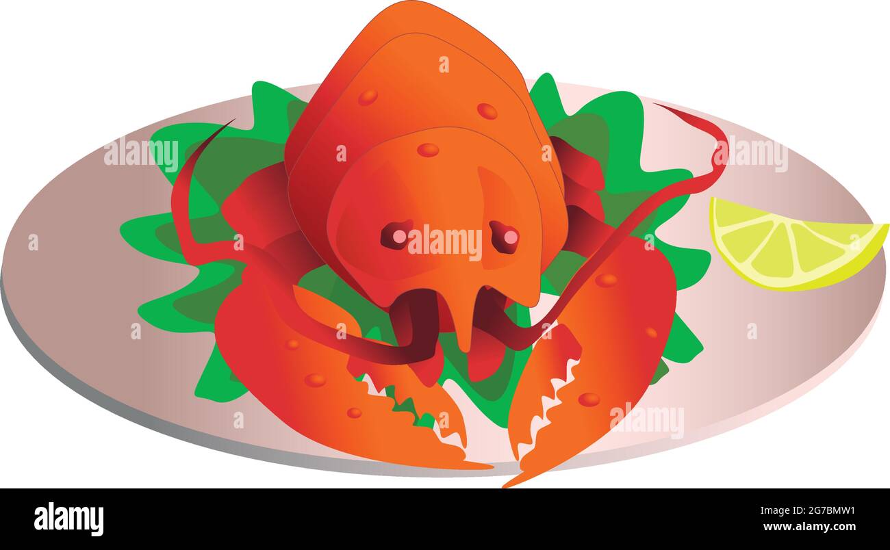 Cooked crab on a plate on a white background - Vector illustration ...