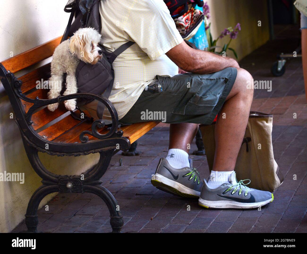 A man sits with his pet poodle on a bench outside a clothing shop in ...
