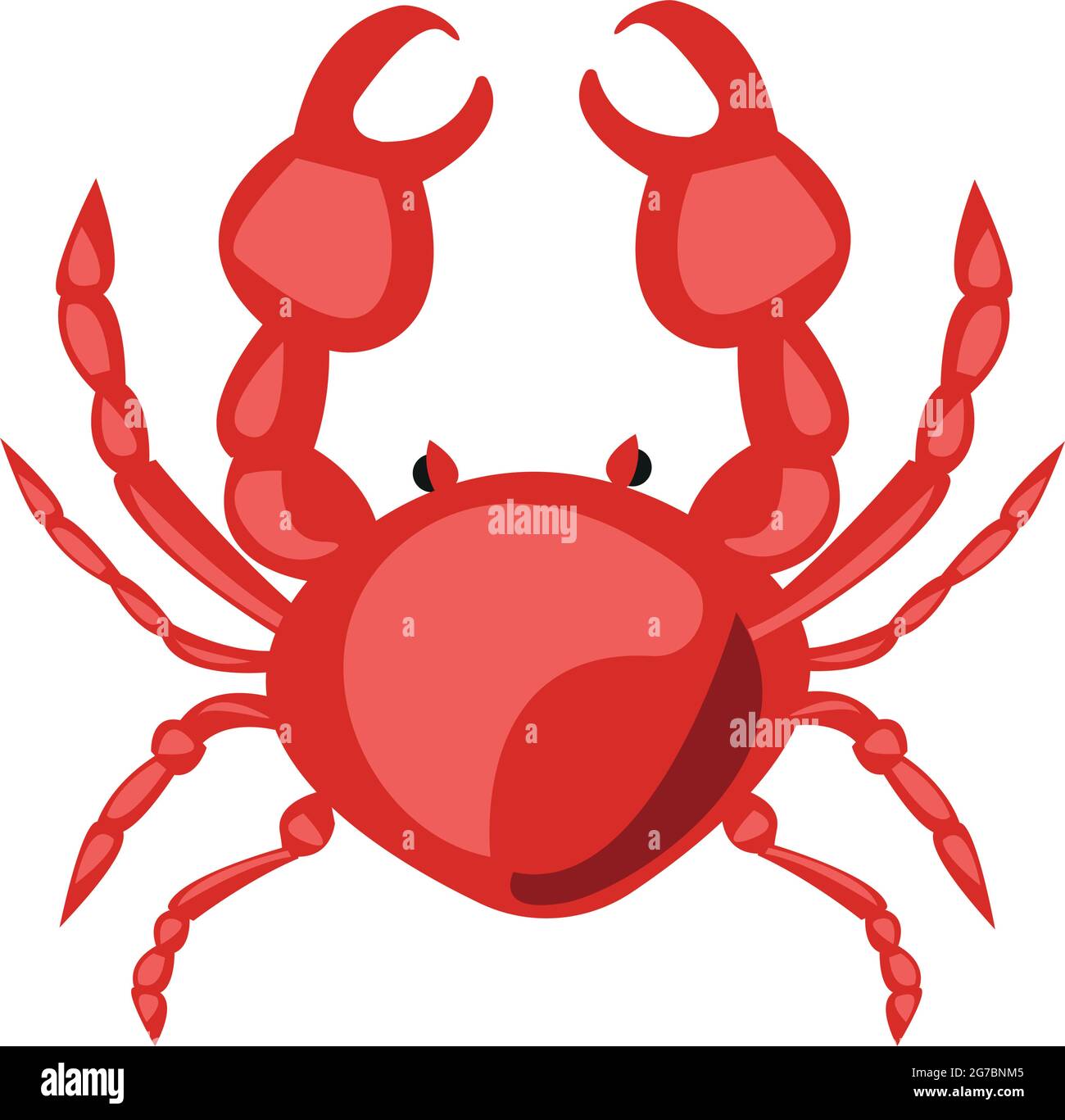 Realistic fresh crab on white background - Vector illustration Stock ...