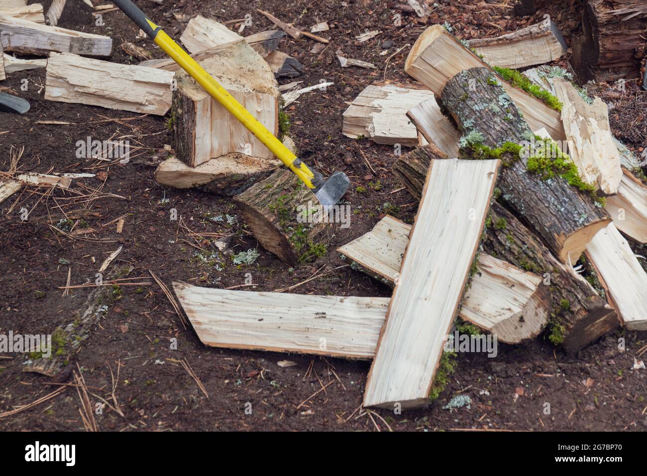 Firewood timber logging lumber hi-res stock photography and images - Alamy