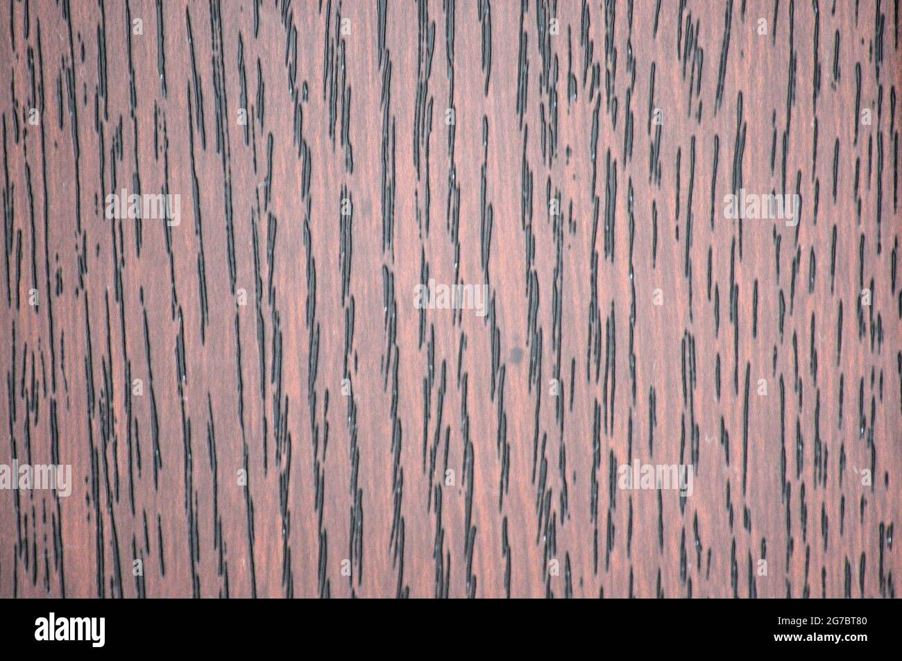 Mahogany Red High Resolution Stock Photography and Images - Alamy