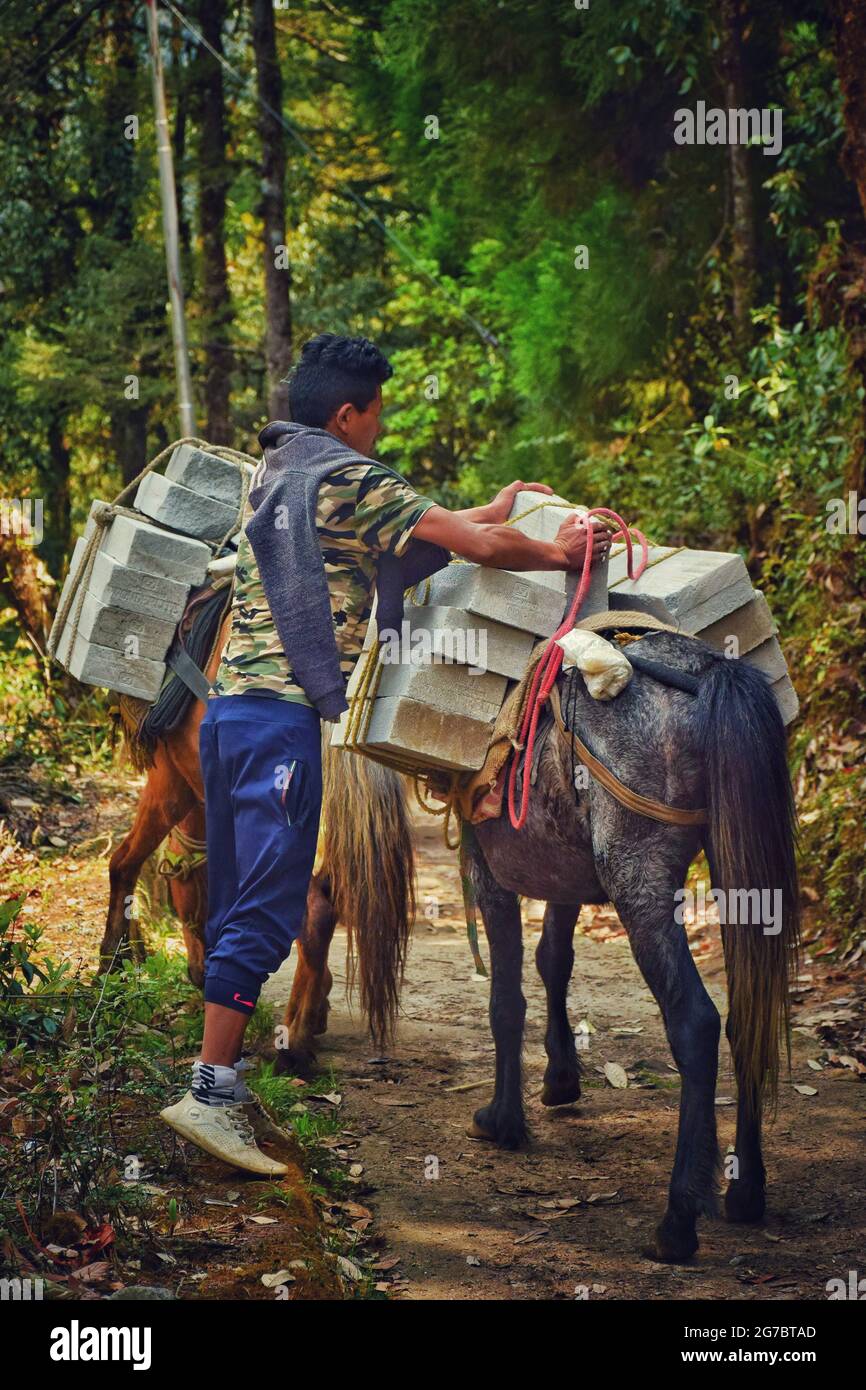 100kg man hi-res stock photography and images - Alamy