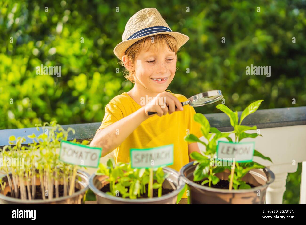 The boy studies the plants through a magnifying glass. He is doing ...