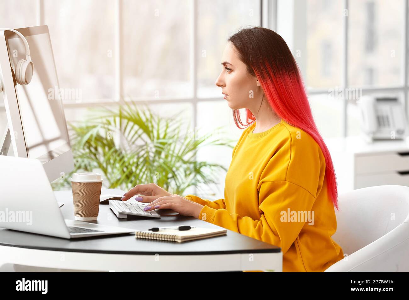 Female programmer working with computer in office Stock Photo - Alamy
