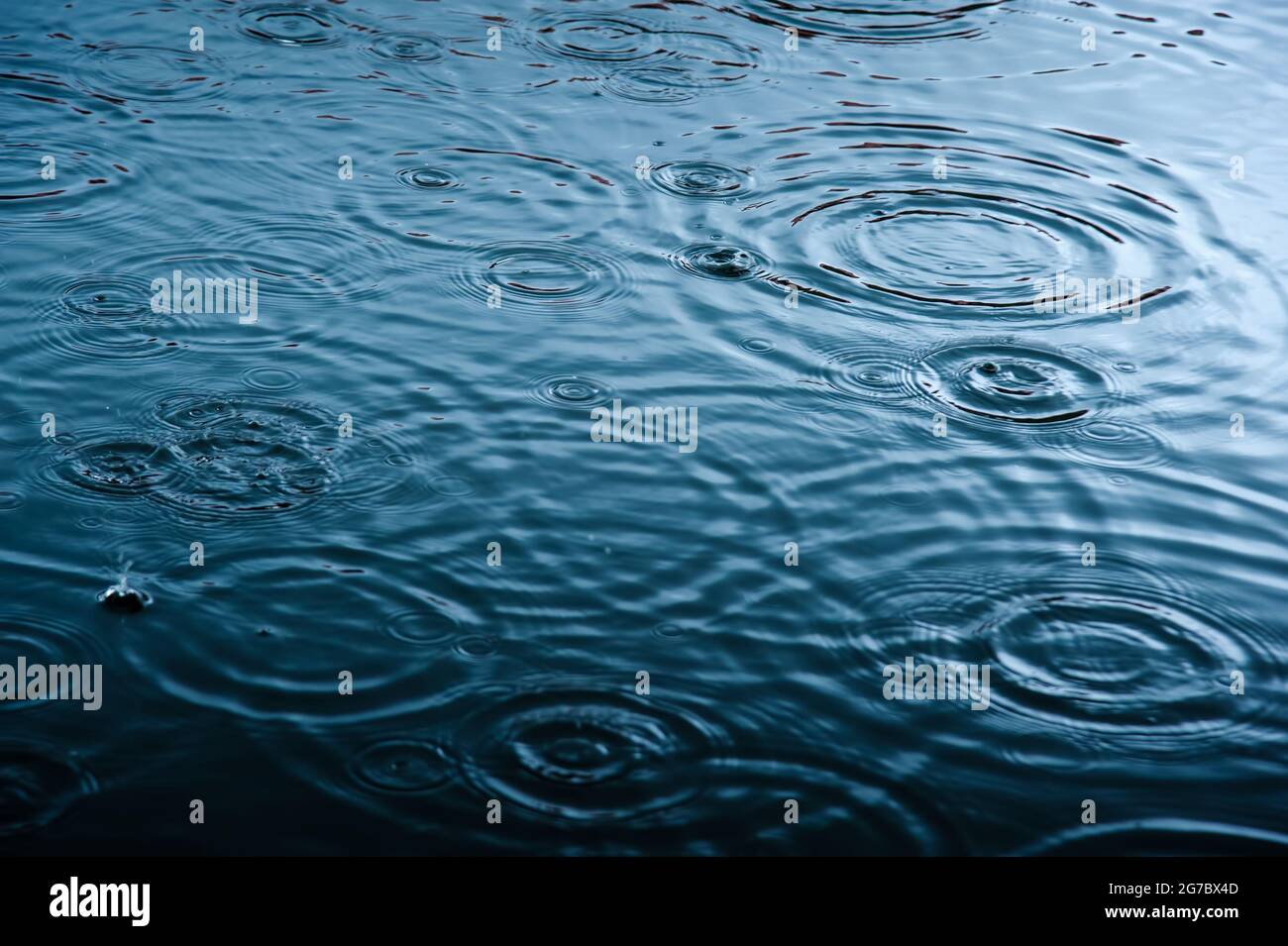 rain drops on the surface of water in a puddle with graduated shade of ...