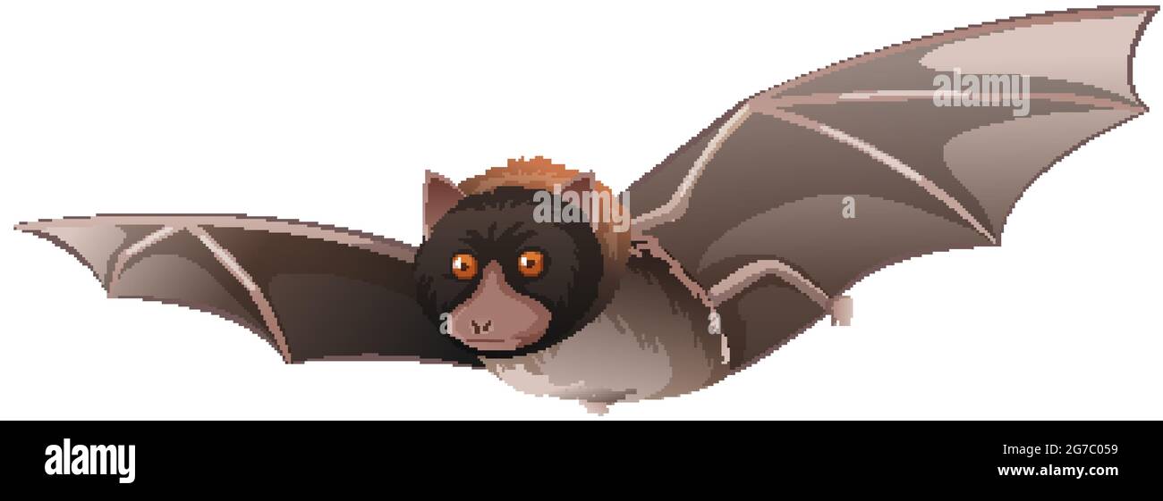 Animal cartoon character of a Bat on white background illustration ...