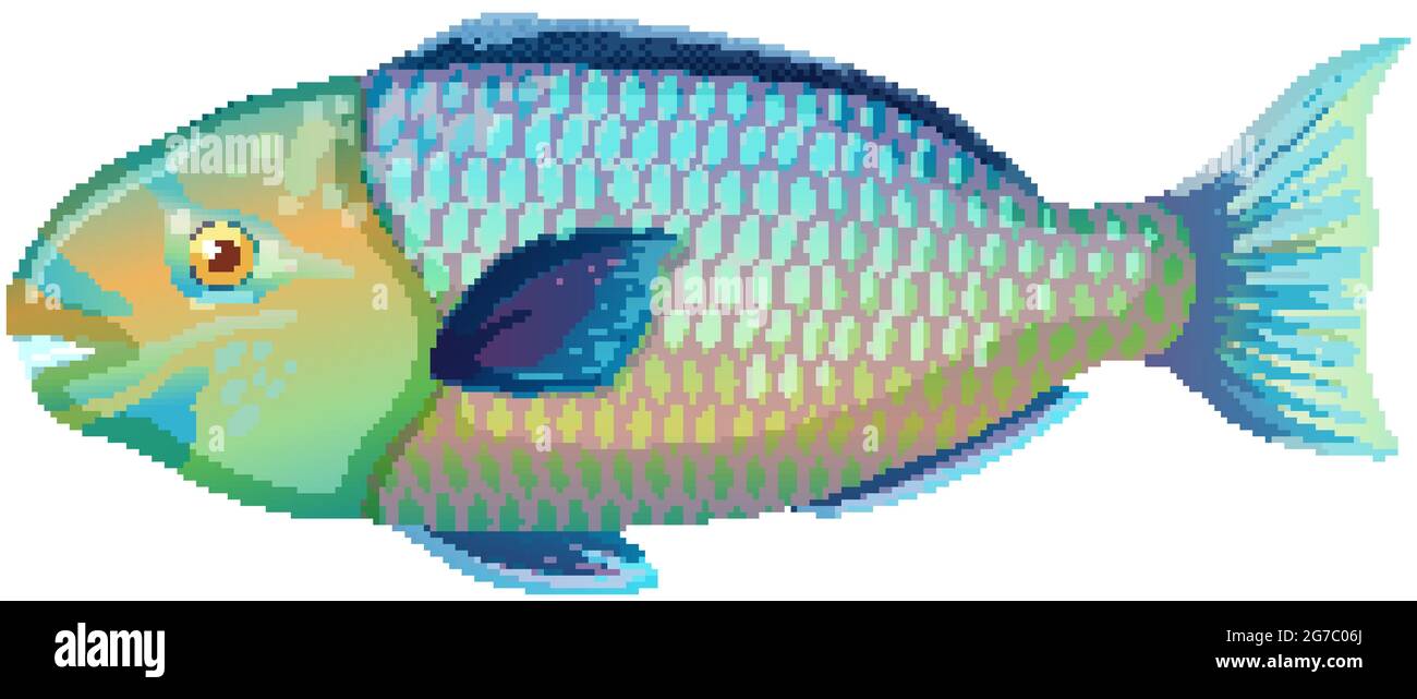 Parrotfish in cartoon style isolated on white background illustration ...