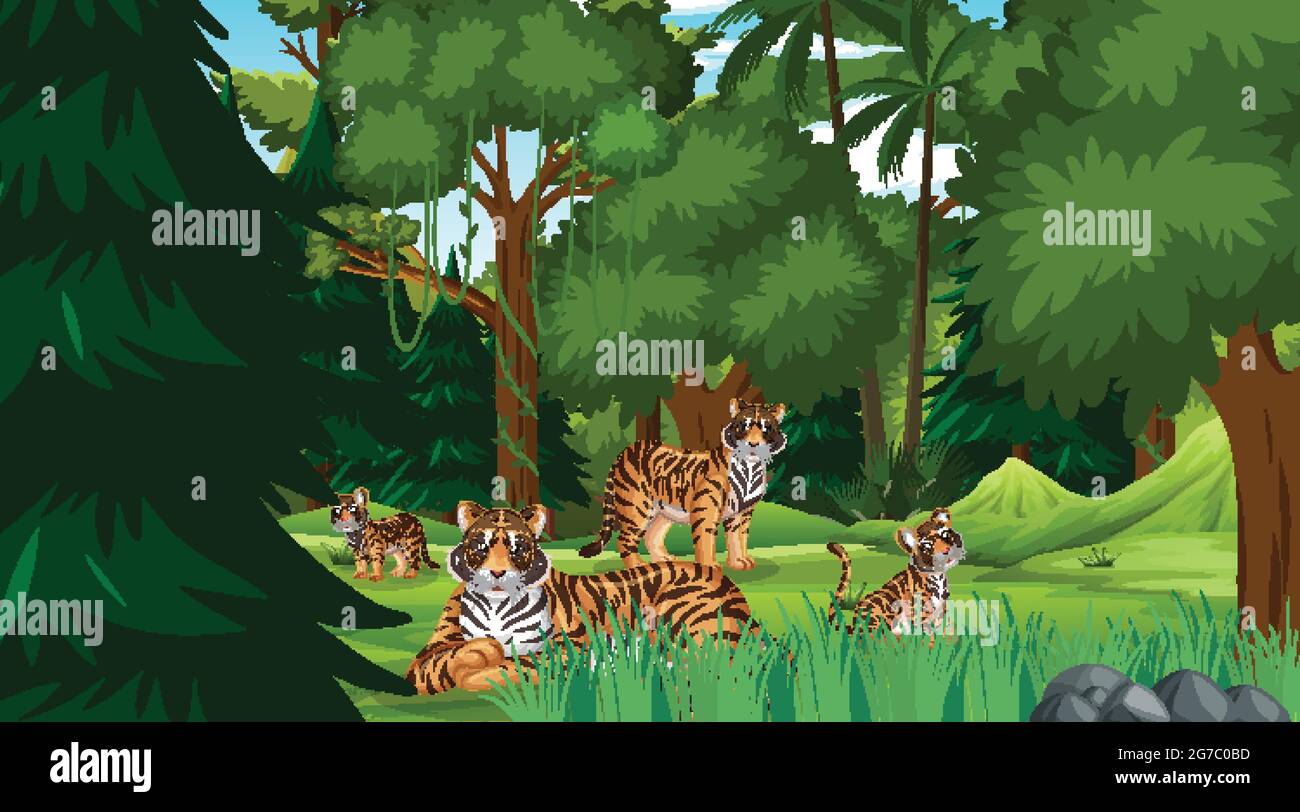 Tiger family in forest or rainforest scene with many trees illustration Stock Vector Image & Art ...