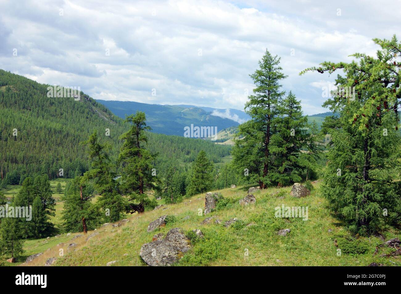 Wild primitive landscape wood and mountains year daytime Stock Photo ...