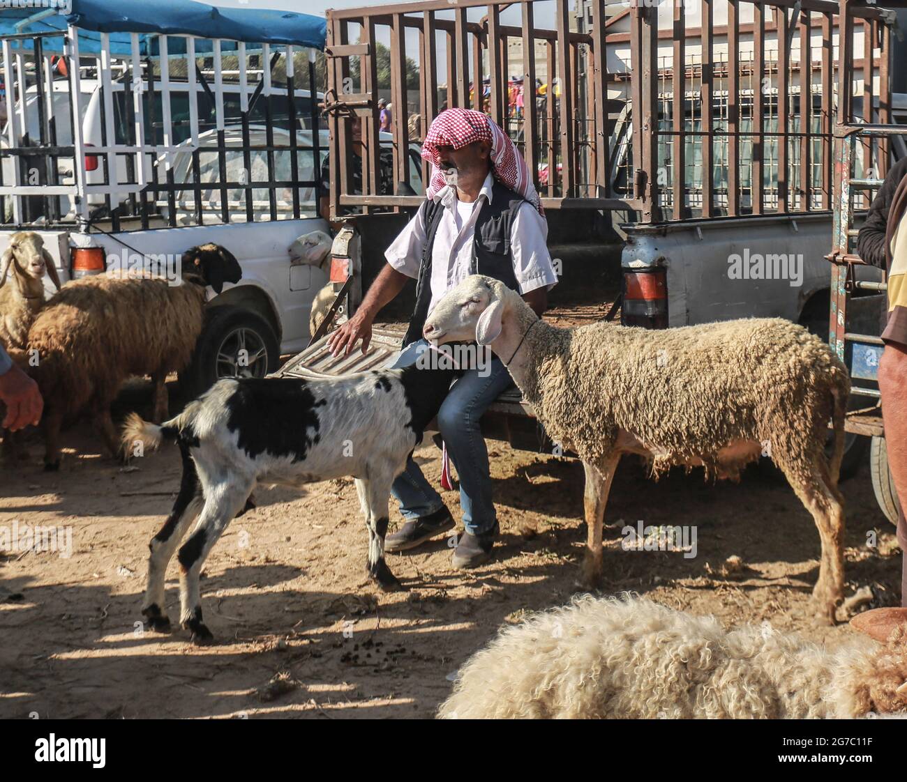 Muslims slaughter sheep after eid hi-res stock photography and images ...