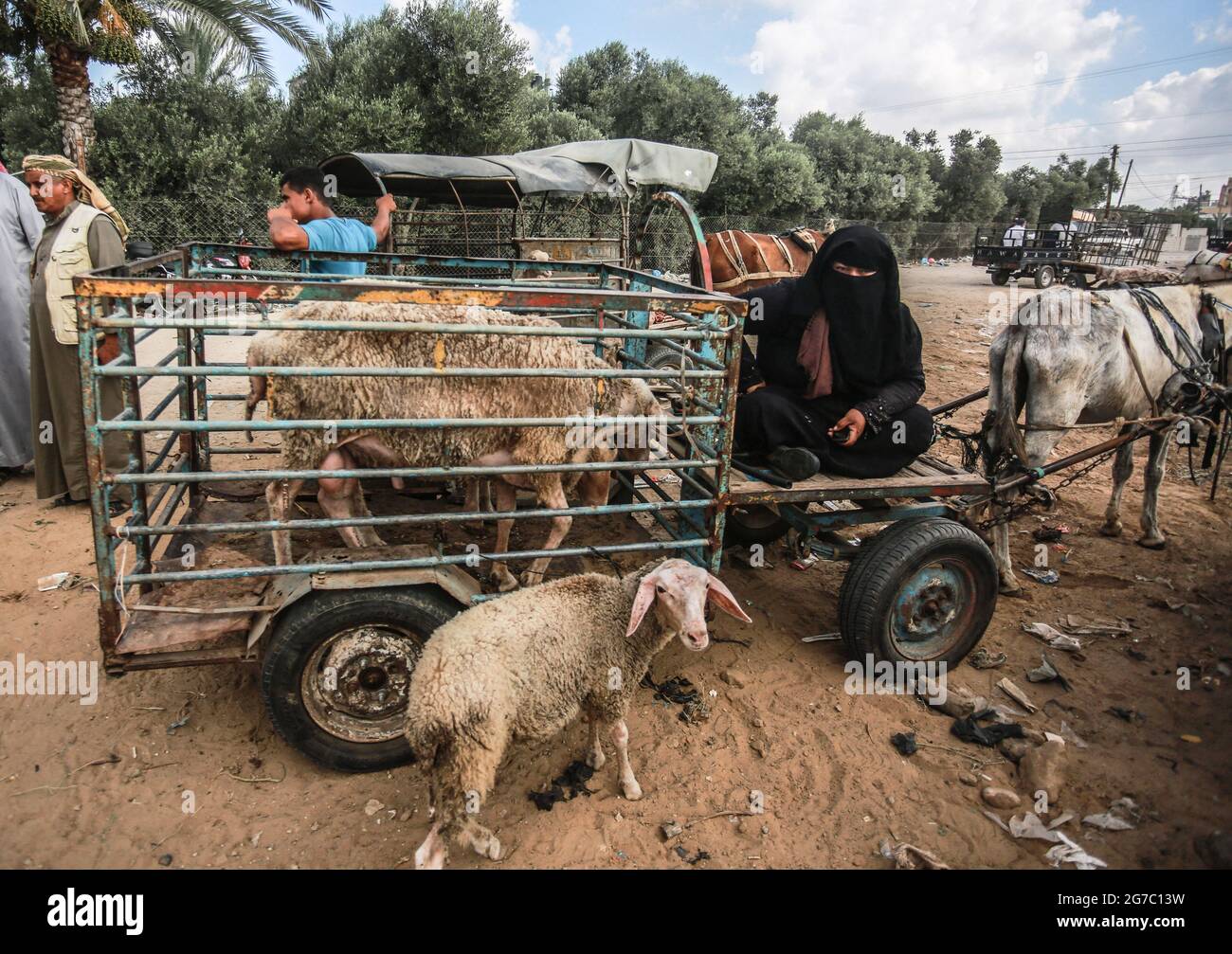 Woman slaughter sheep hi-res stock photography and images - Alamy