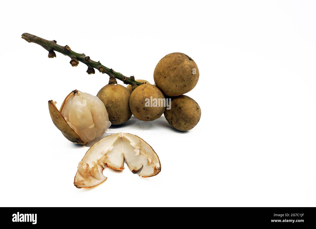 Longkong is a delicious fruit on a white background Stock Photo - Alamy
