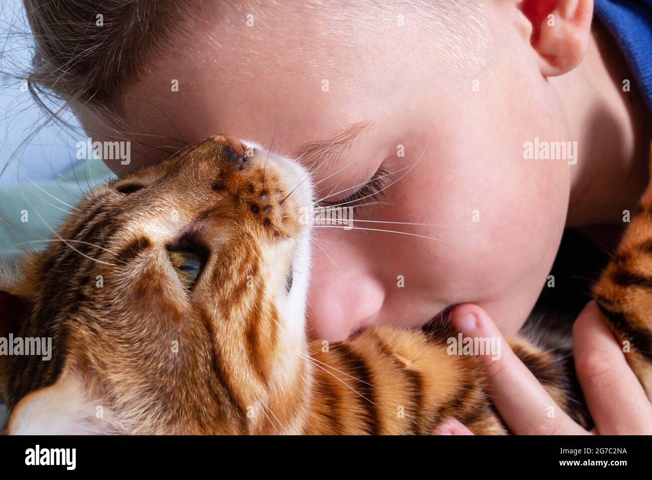 Human relationship with animal hi-res stock photography and images - Alamy