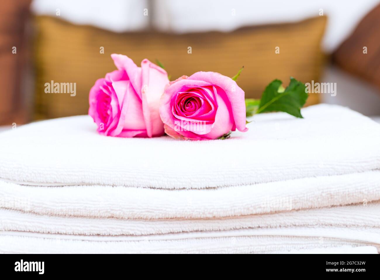 Flowers to welcome guest in hotel room Stock Photo - Alamy