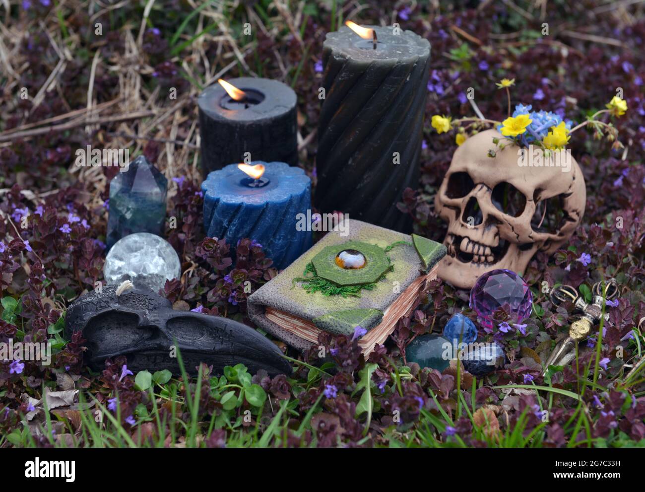 Still life with Beltane ritual objects, skull, burning candles ...