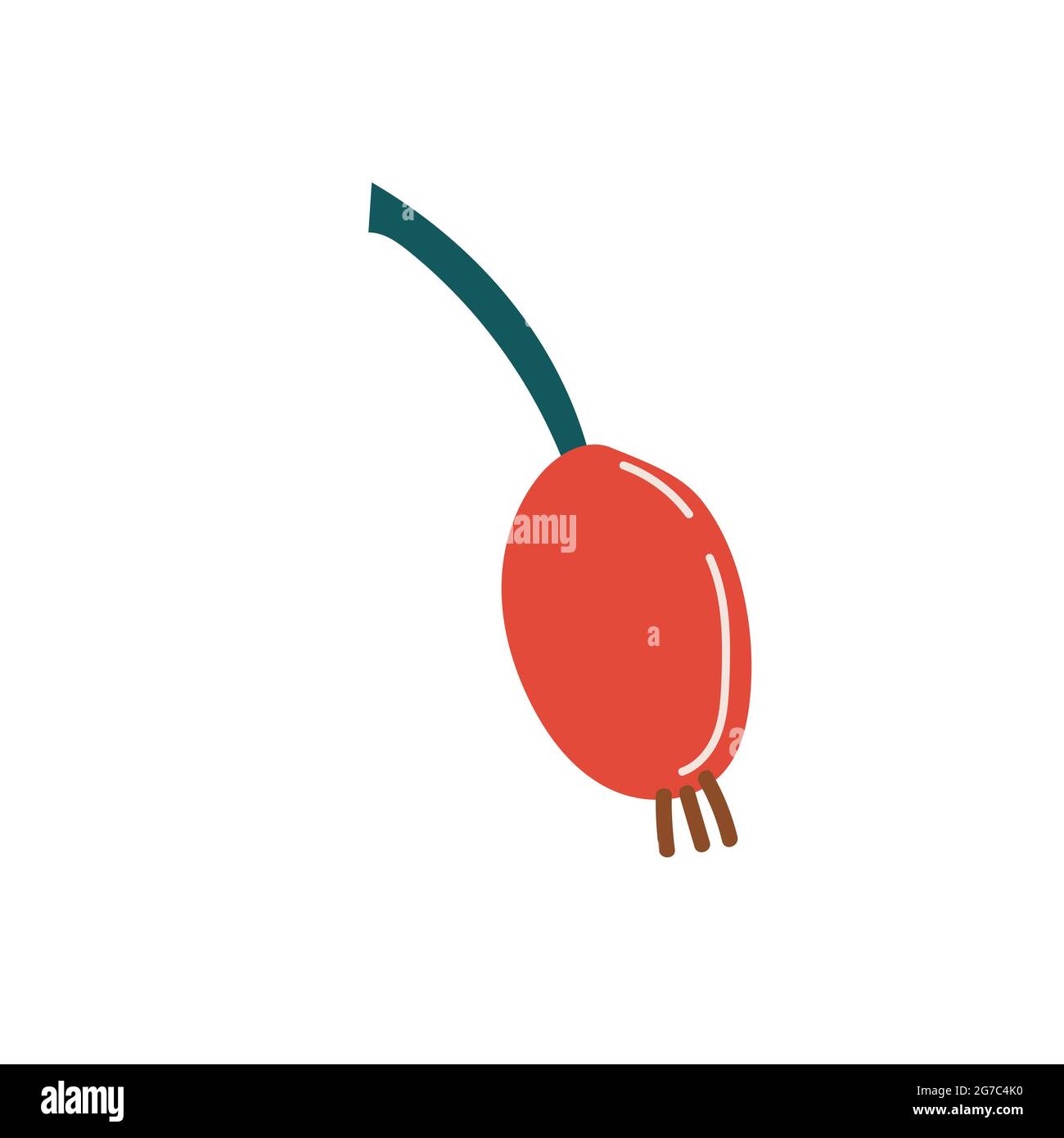 Rosehip branch berries in Stock Vector Images - Alamy