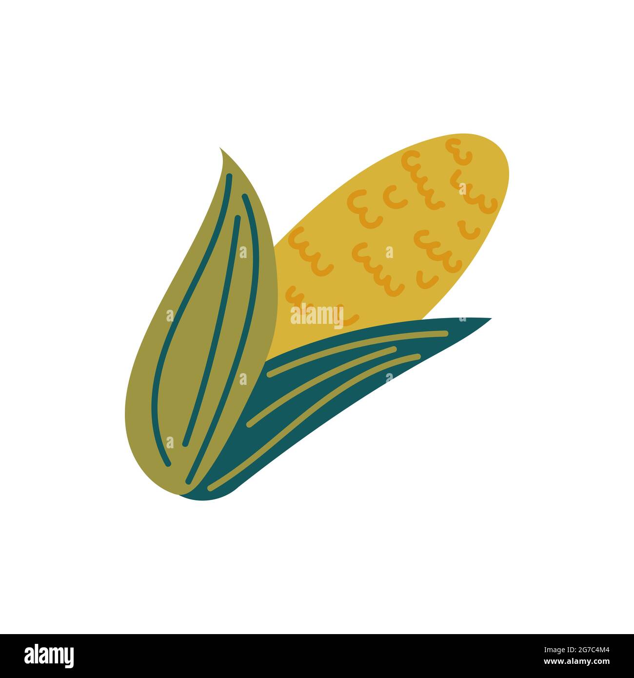 Corn grain vector vector vectors hi-res stock photography and images ...
