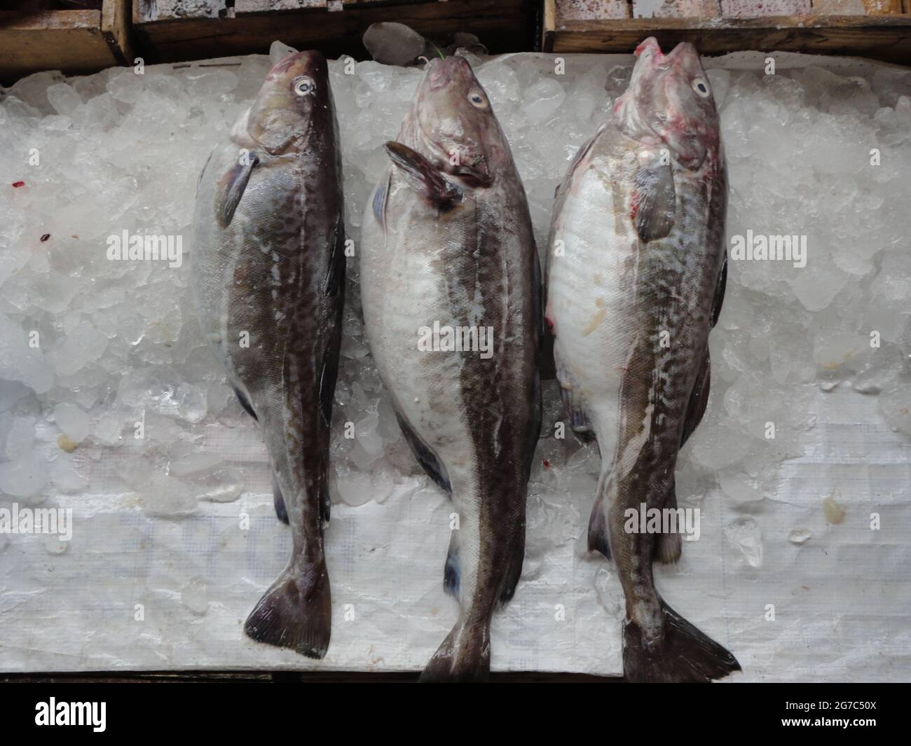 Some fishes on ice tray at fish market Stock Photo - Alamy