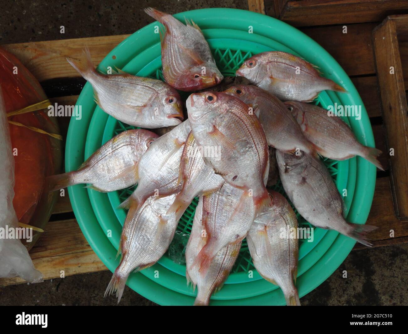 Some fishes on tray at fish market Stock Photo - Alamy