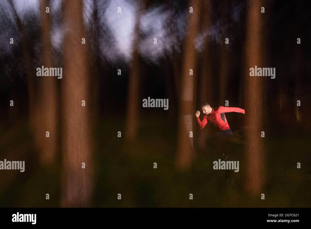 Moving fast through the forest hi-res stock photography and images - Alamy