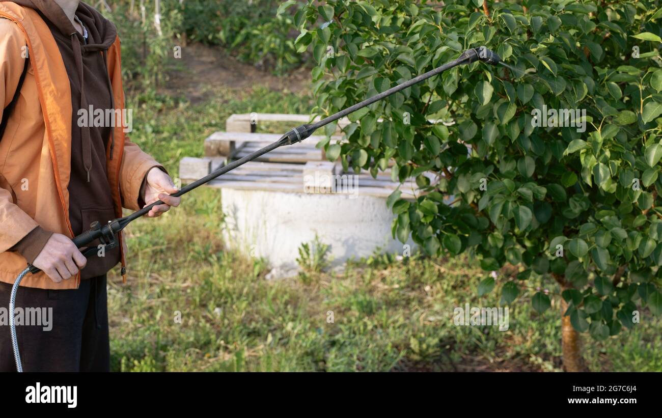Farmer spraying pesticide hi-res stock photography and images - Alamy