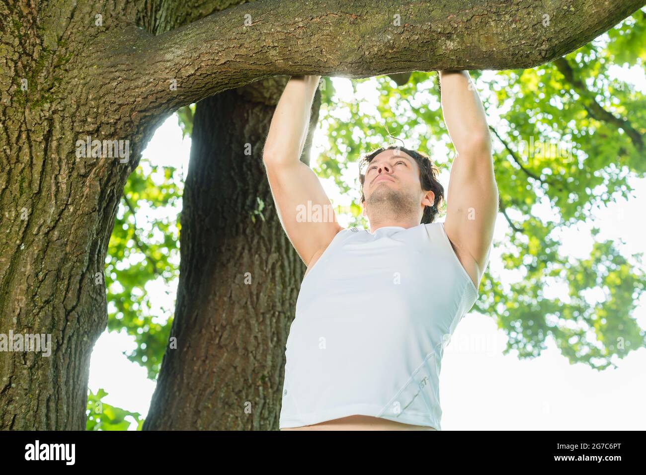 Pull ups tree hi-res stock photography and images - Alamy