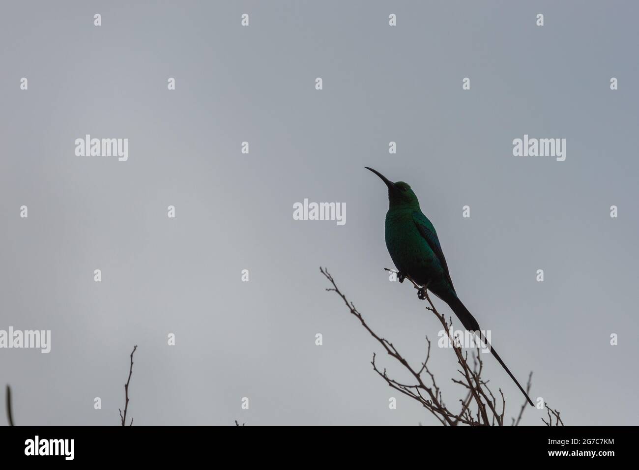 Matzikama mountains hi-res stock photography and images - Alamy