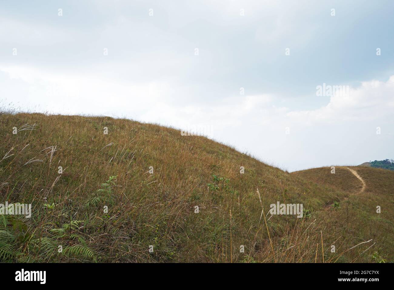 Natural grassy pathway to the mountain peak with cloudy blue sky Stock ...