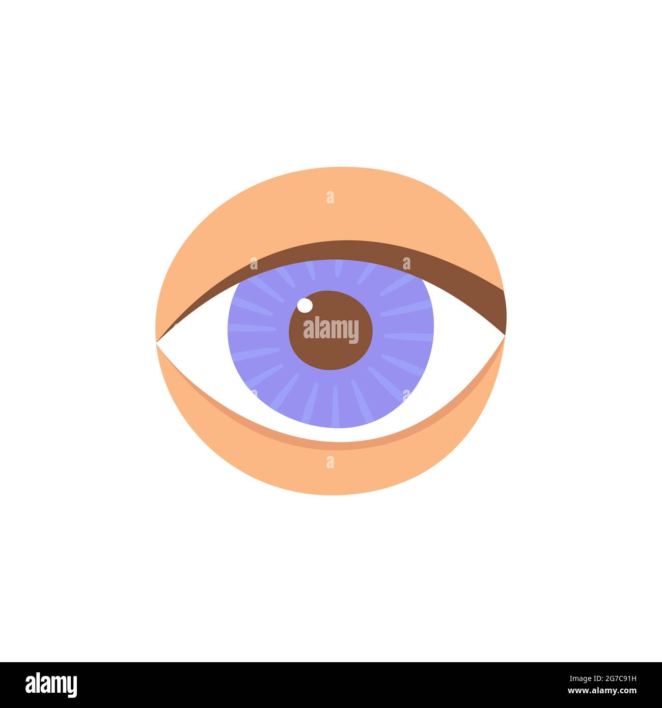 Human eye in front. The eye is like a sense organ. Part of the face ...