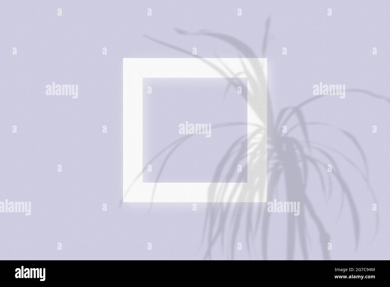 Mockup with vegetable shadows superimposed on square frame of textured ...