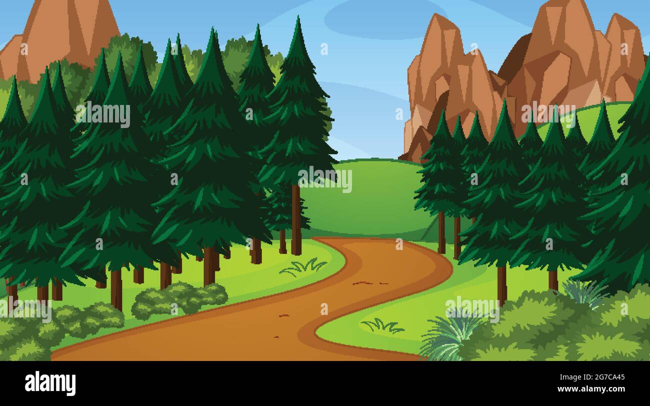 Forest scene with various forest trees and walkway lane path ...