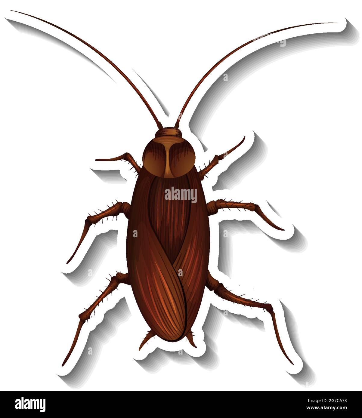 A sticker template with top view of a cockroach isolated illustration ...