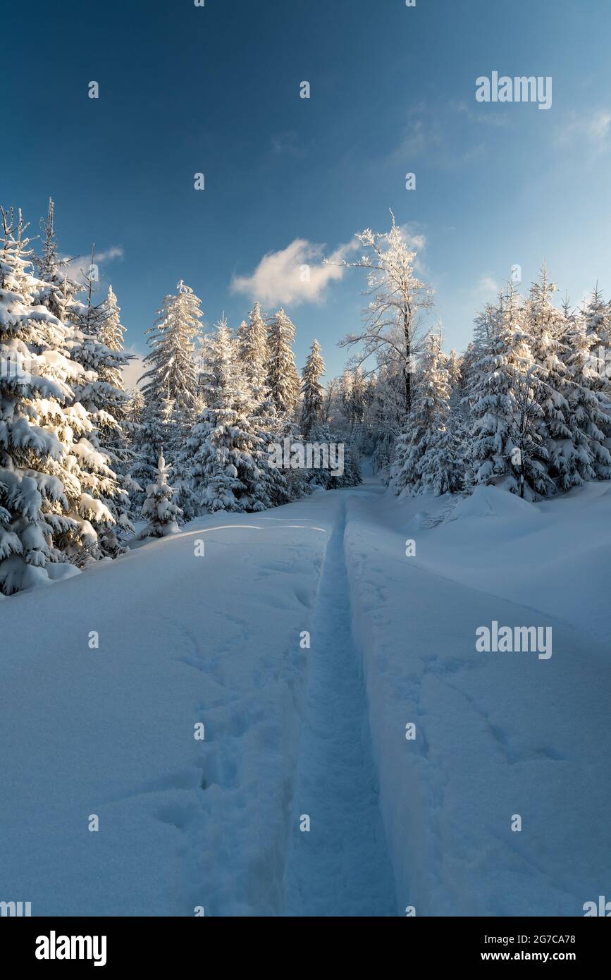 Bily kriz hi-res stock photography and images - Alamy