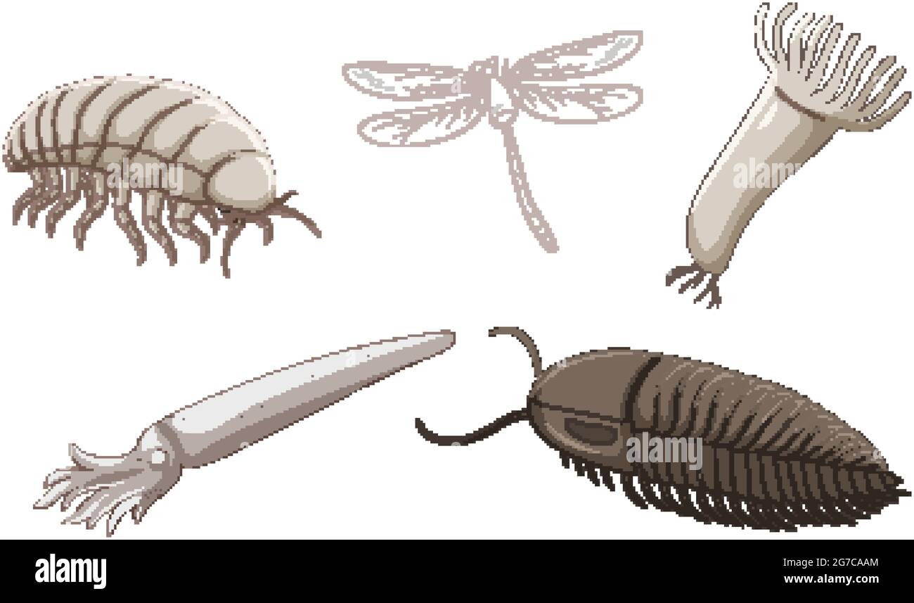 Set of underwater plankton illustration Stock Vector Image & Art - Alamy