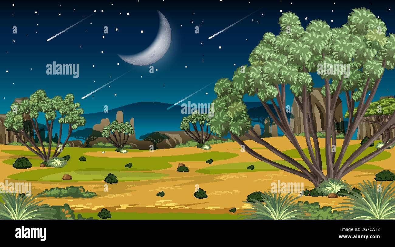 African Savanna forest landscape scene at night illustration Stock ...
