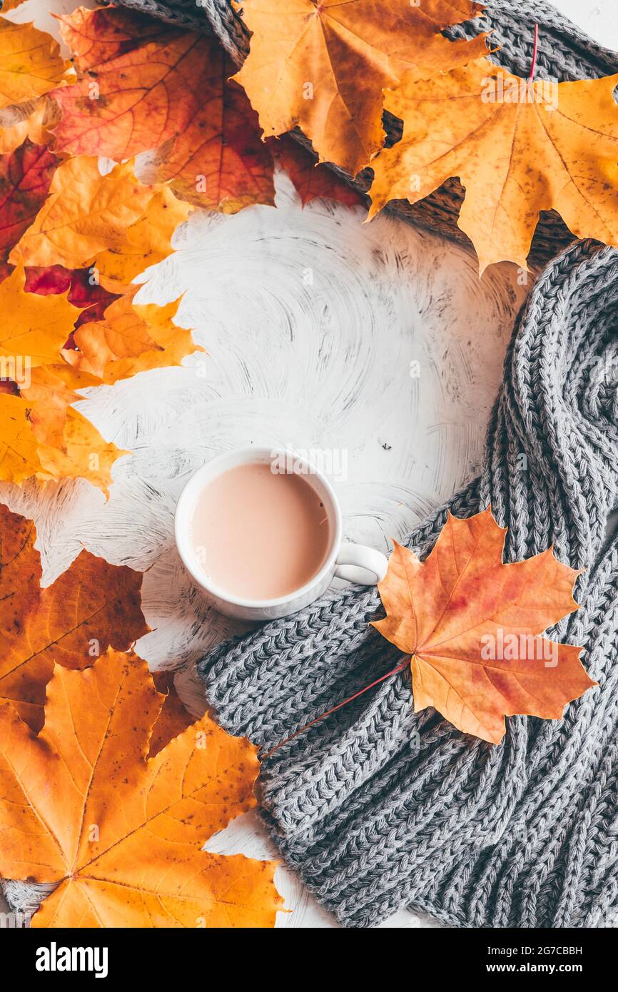 Autumn home cozy composition a cup of coffee with maple leaves.Top view ...